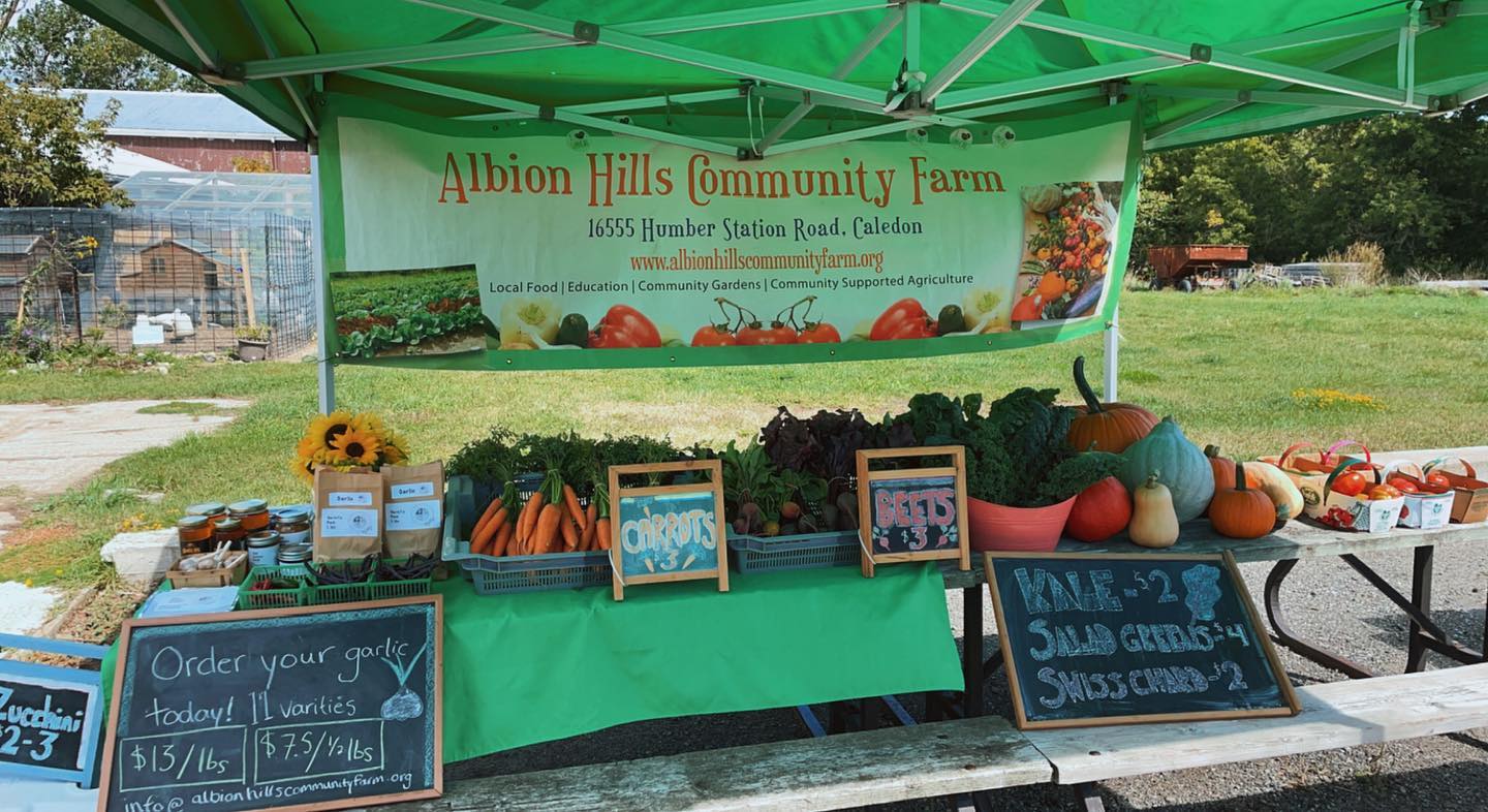 About Us | Albion Hills Community Farm